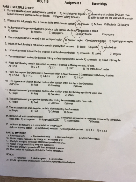 Solved Current classification of prokaryotes is based on A) | Chegg.com