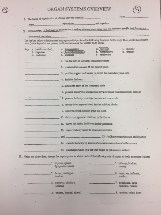 Solved ORGAN SYSTEMS OVERVIEW 1. The levels of organizadton | Chegg.com