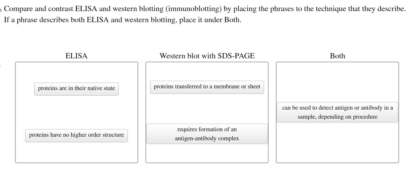 Solved Compare and contrast ELISA and western blotting | Chegg.com