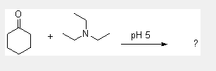 Solved + pH 5 ? 1)NH2NH2 "H ? 2)KOH, Heat | Chegg.com