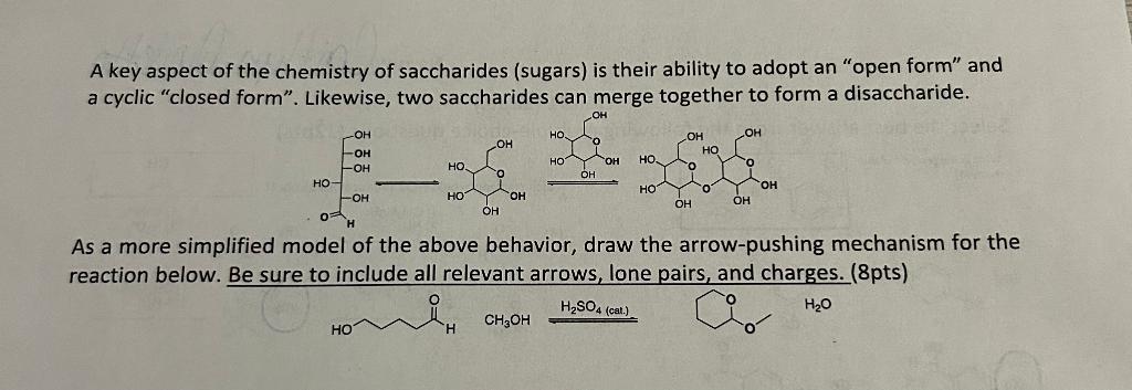 Solved A key aspect of the chemistry of saccharides (sugars) | Chegg.com