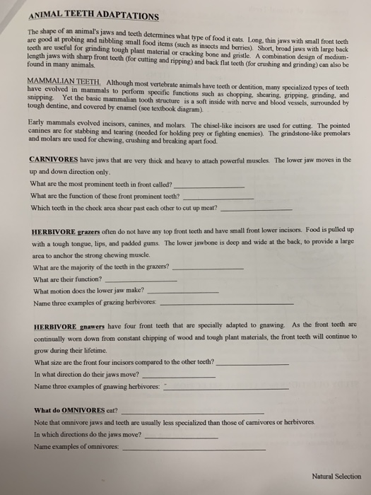 Solved ANIMAL TEETH ADAPTATIONS The shape of an animal's | Chegg.com