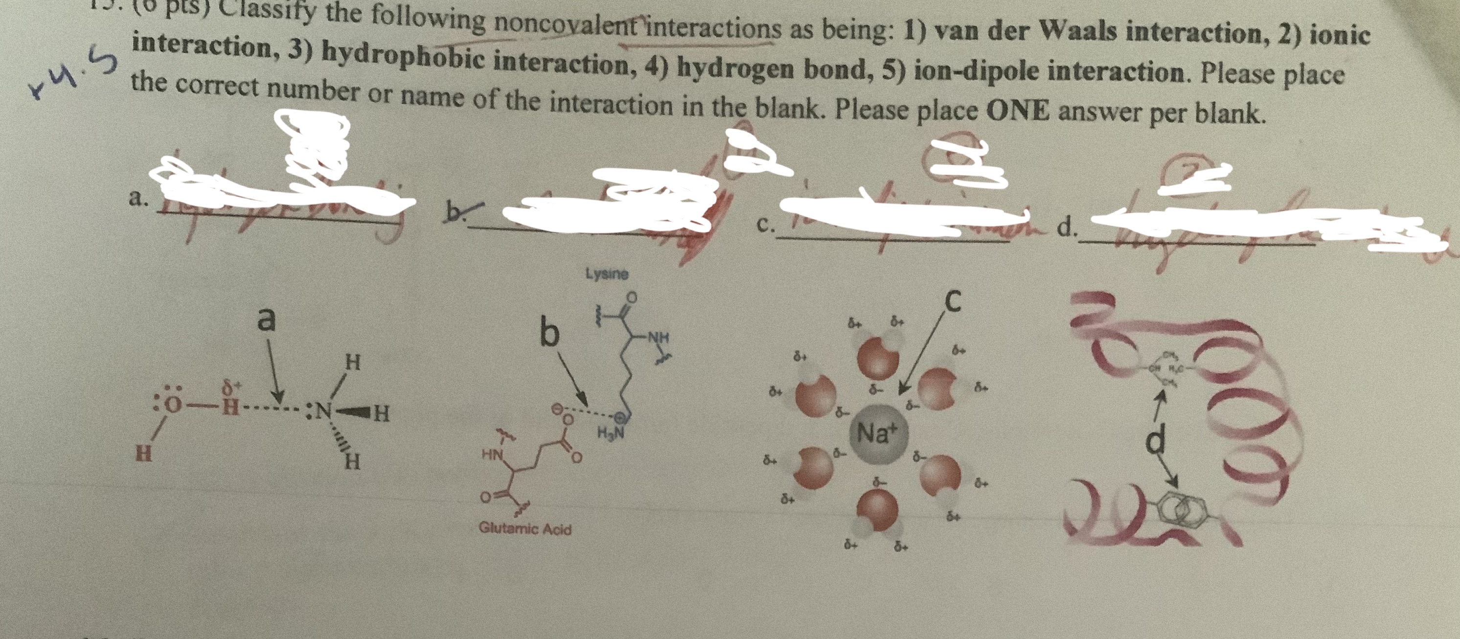 Solved interaction the correct | Chegg.com