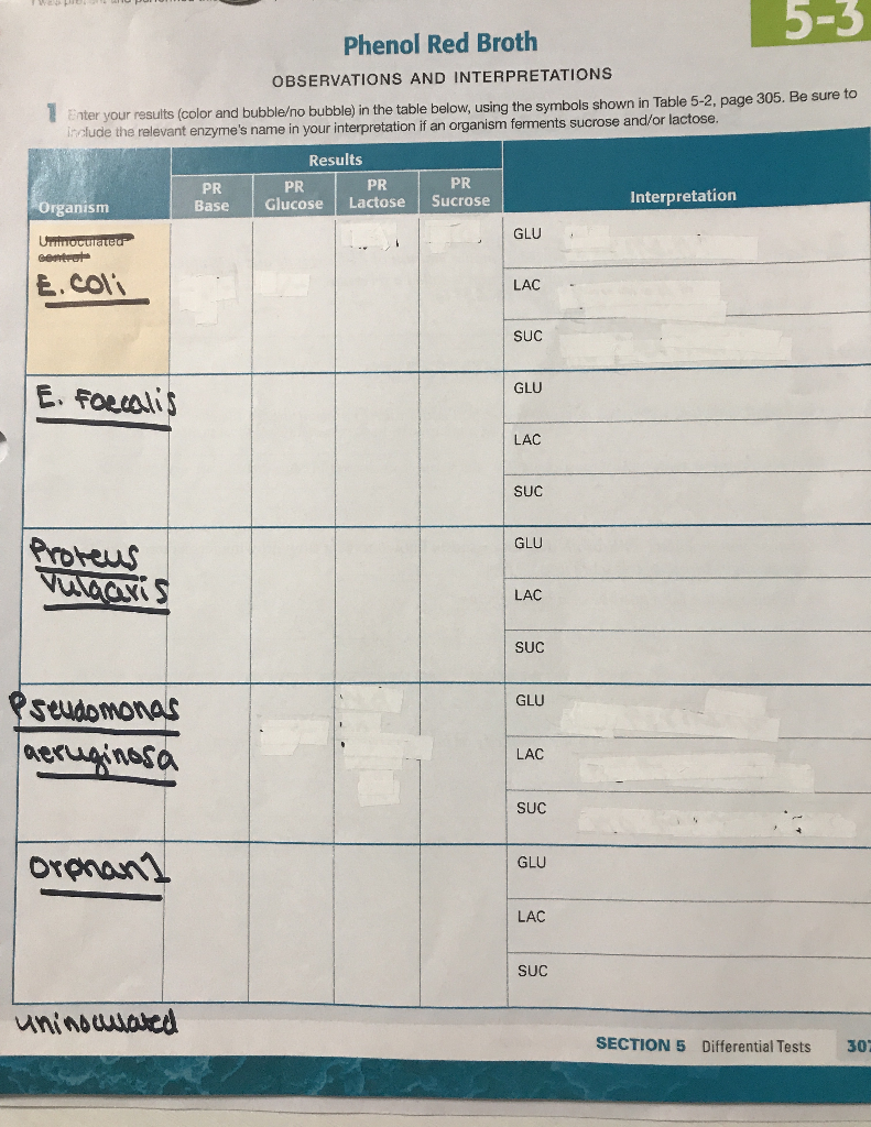 Solved T o por 5-3 Phenol Red Broth OBSERVATIONS AND | Chegg.com