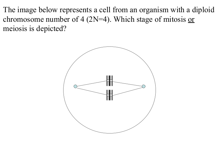 Solved The image below represents a cell from an organism | Chegg.com