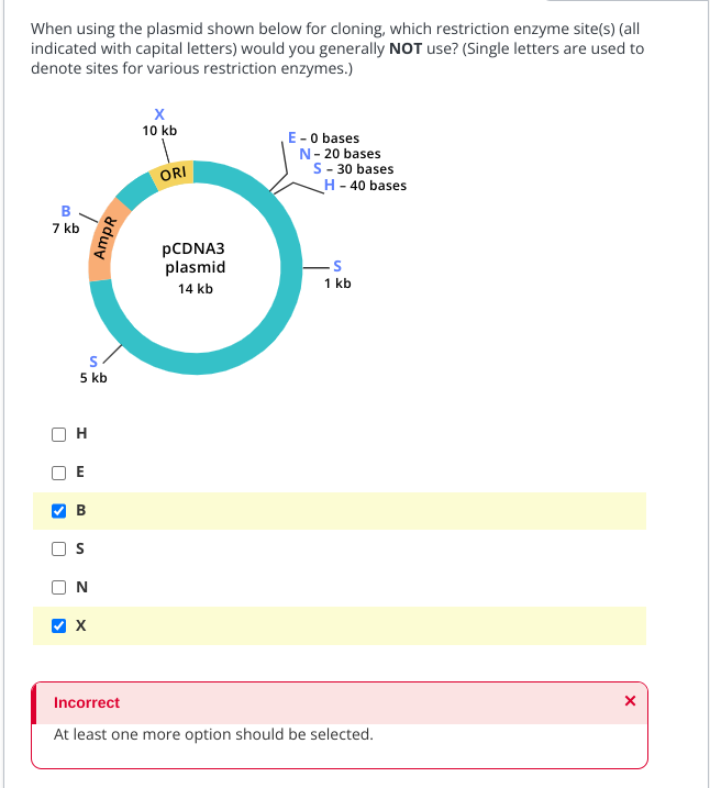 Solved When using the plasmid shown below for cloning, which | Chegg.com