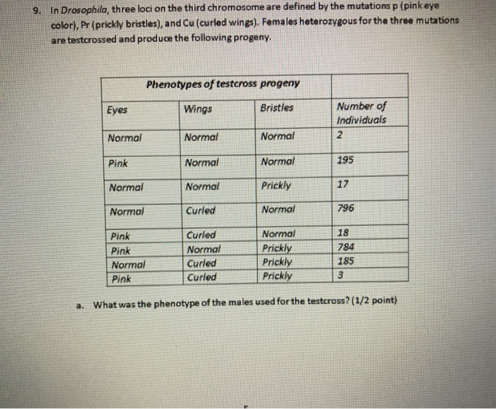 Solved 9. In Drosophila, three loci on the third chromosome | Chegg.com