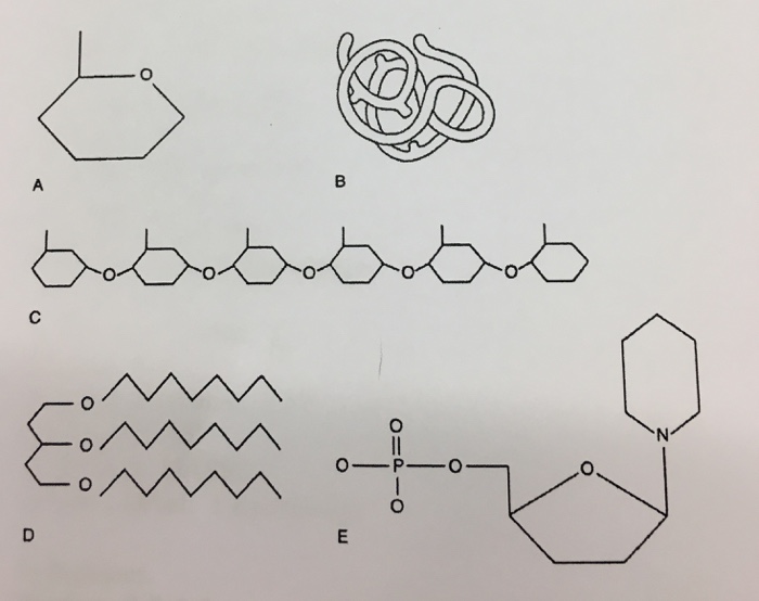 Functional Protein Diagram