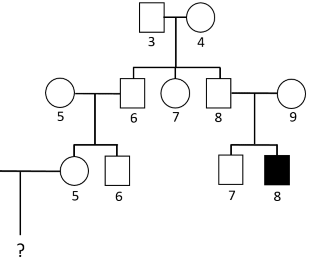 Solved In the pedigree above, individuals represented by | Chegg.com
