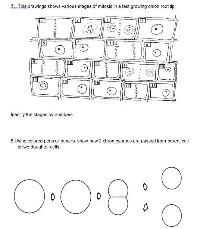 Solved 1. Label the following diagram with the phase of | Chegg.com