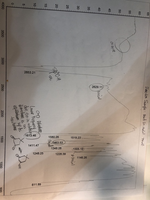 Solved Chem 227 Name Section Report for DIMEDONE LAB Attach | Chegg.com