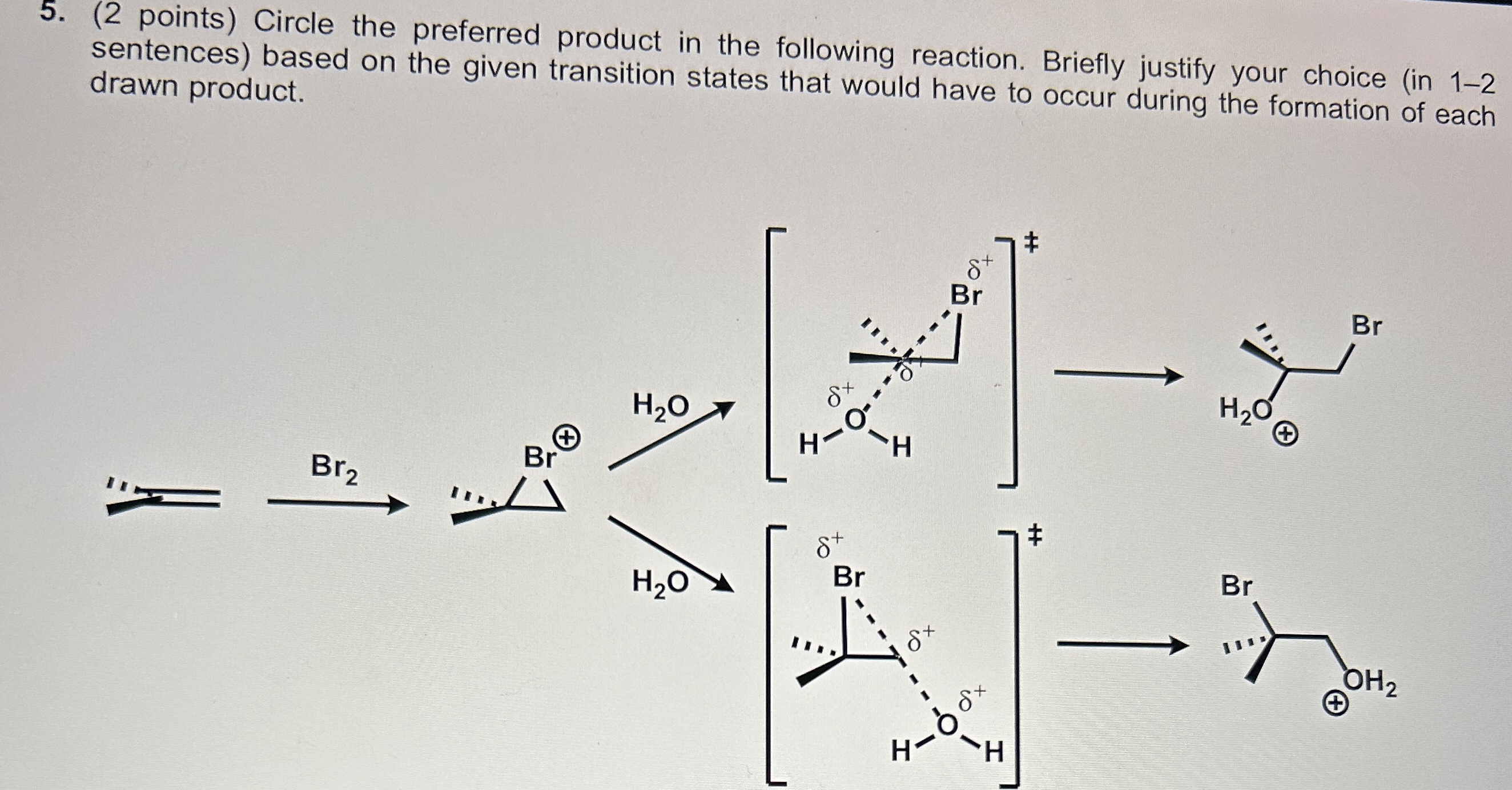 Solved 5. (2 ﻿points) ﻿Circle the preferred product in the | Chegg.com