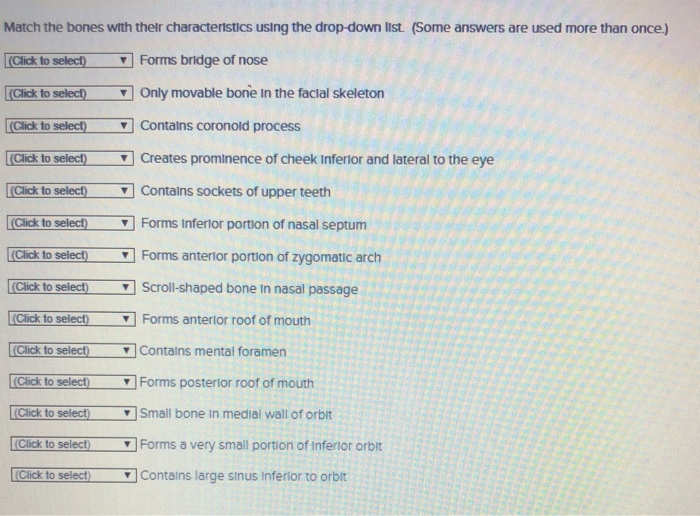 Solved Match the bones with their characteristics using the | Chegg.com