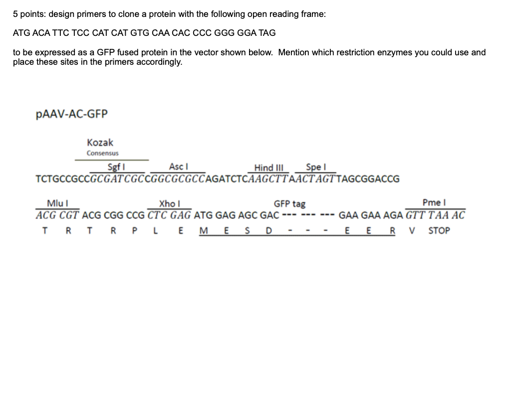 Solved 5 ﻿points: design primers to clone a protein with the | Chegg.com