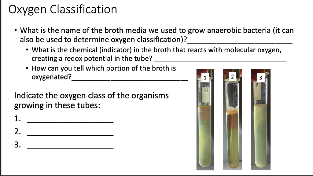 Solved Oxygen Classification • What is the name of the broth | Chegg.com