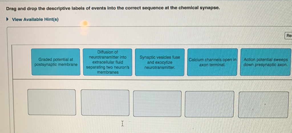 Solved Drag and drop the descriptive labels of events into | Chegg.com