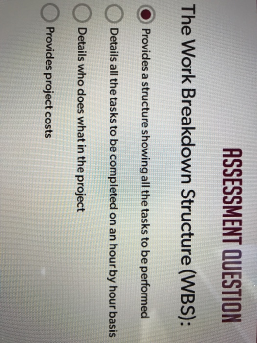 Solved The Work Breakdown Structure (WBS): Provides a | Chegg.com