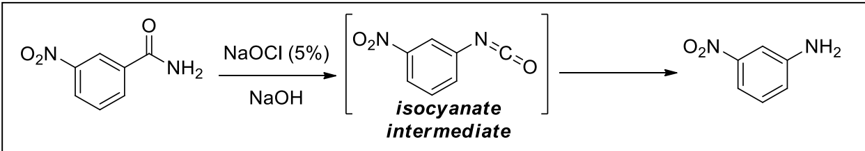 Solved O2N. N=G=O O2N. NaOCI (5%) O2N. NH2 NH2 NaOH | Chegg.com