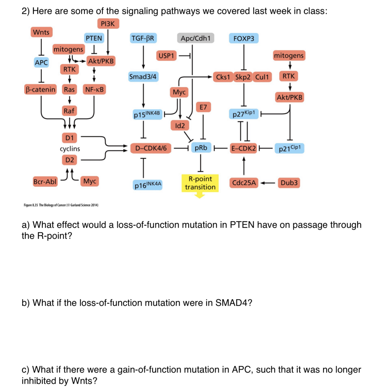 Solved 2) Here are some of the signaling pathways we covered | Chegg.com