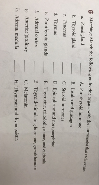 Solved Matching: Match the following endocrine organs with | Chegg.com