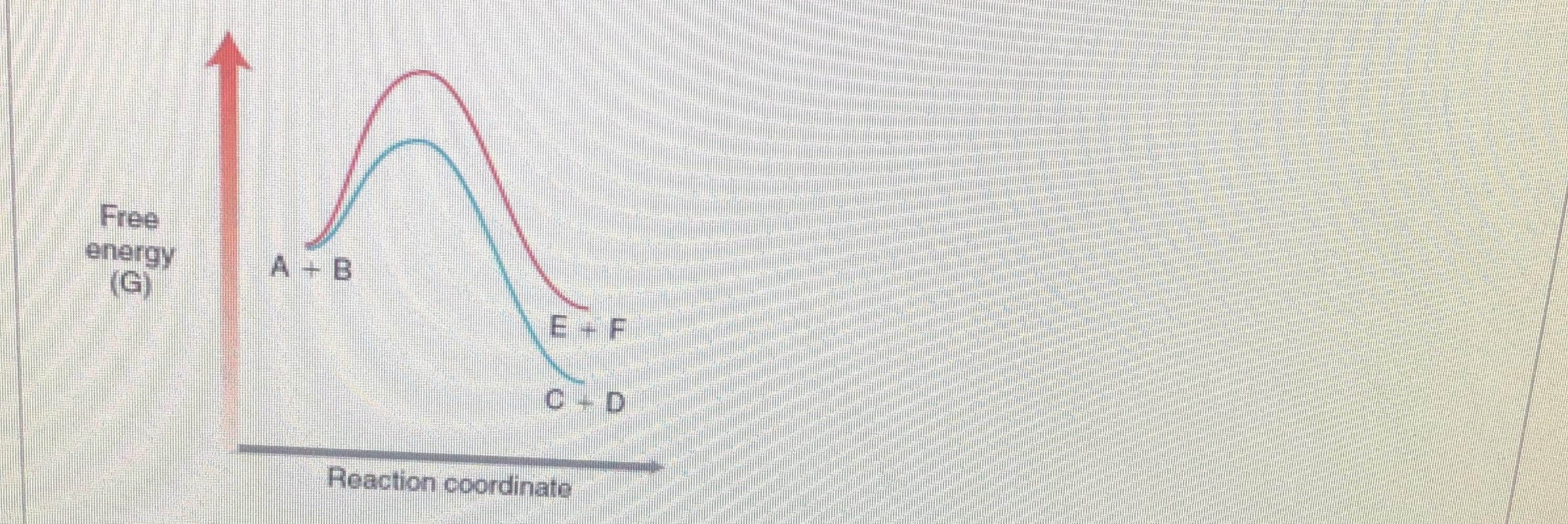 Solved In the following diagram, which products are | Chegg.com