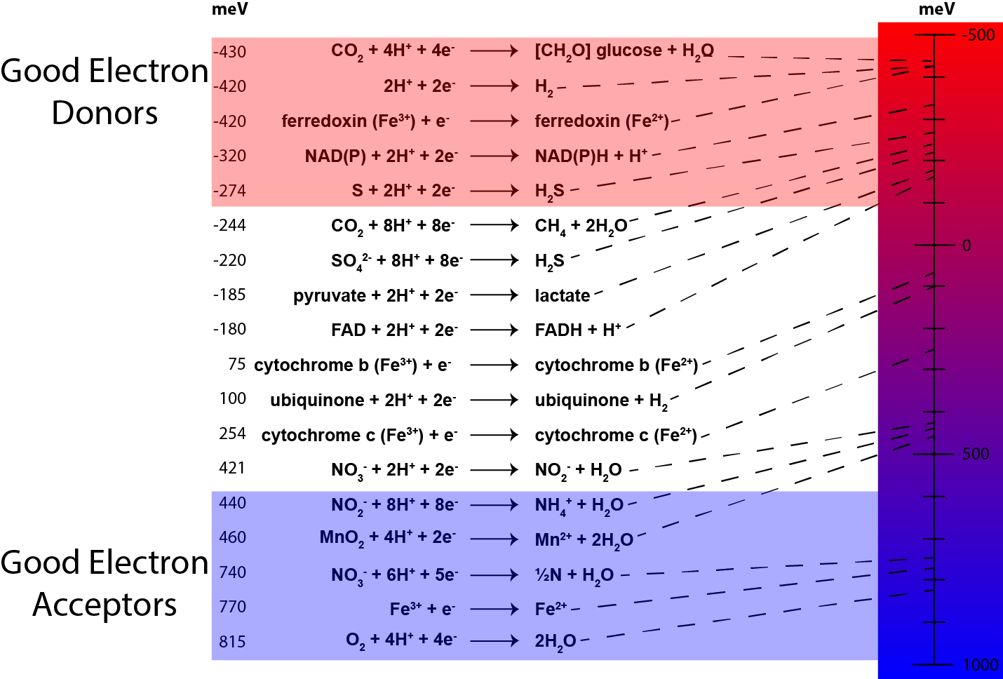 Solved H2S+NO3- ---> S + NO2- +H2O What is the electron | Chegg.com