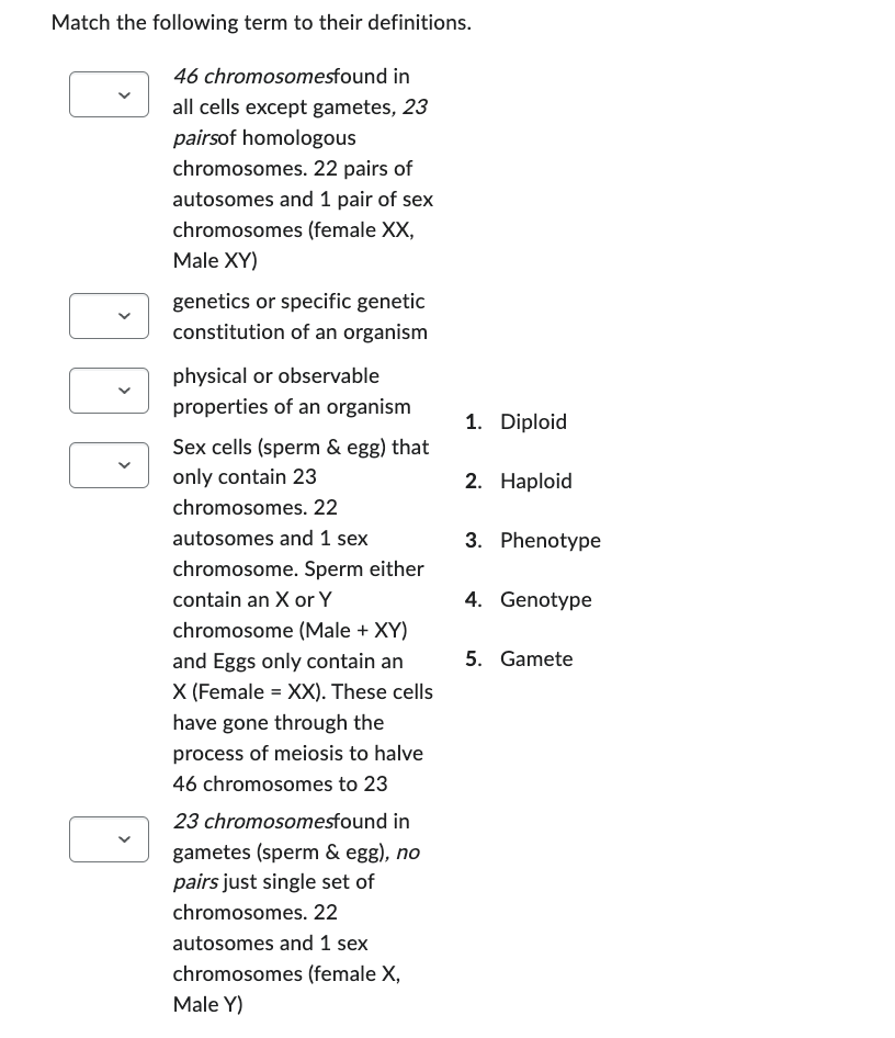 Solved Match the following term to their definitions. 46 | Chegg.com