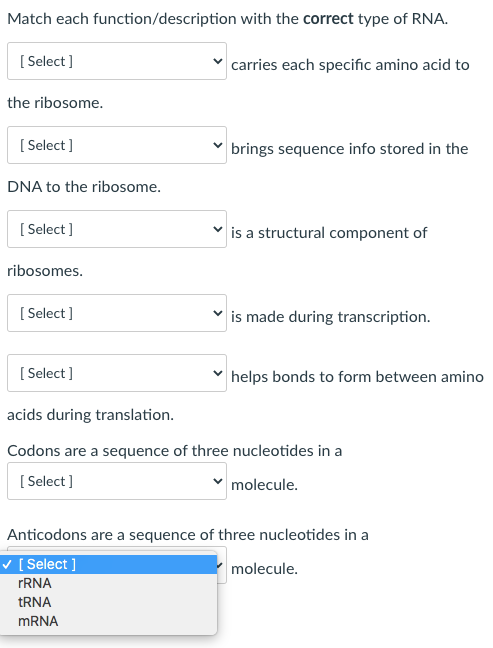 Solved Match each function/description with the correct type | Chegg.com