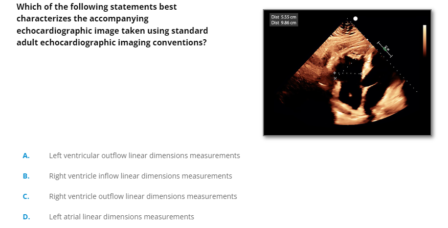 Solved Which of the following statements best characterizes | Chegg.com