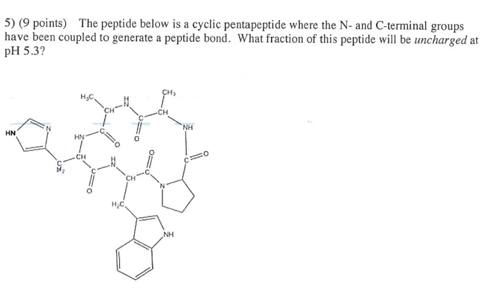 Solved The peptide below is a cyclic pentapeptide where the | Chegg.com