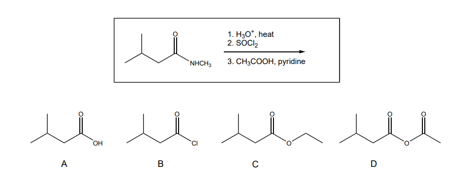 Solved 1. H3O+, heat 2. SOCl2 3. CH3COOH, pyridine A B C D | Chegg.com