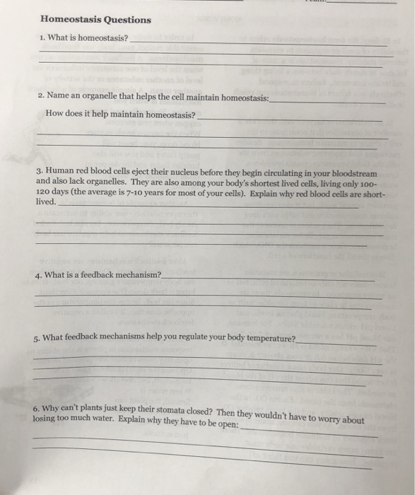 Solved HOMEWORK In Biology, the term homeostasis refers to | Chegg.com