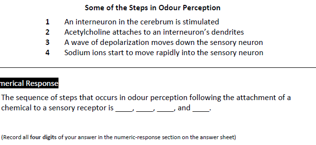 Solved 1 2 3 4 Some of the Steps in Odour Perception An | Chegg.com
