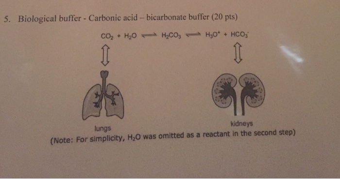 Solved 5. Biological buffer - Carbonic acid-bicarbonate | Chegg.com