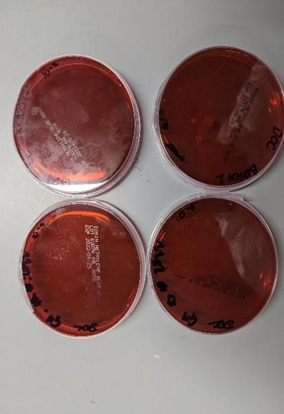 I need help with the discussion part of a lab report | Chegg.com
