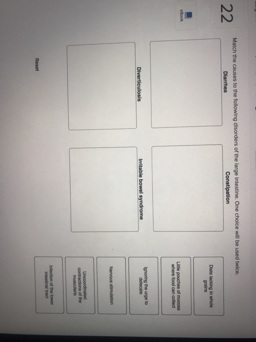 Solved Match the causes to the following disorders of the | Chegg.com