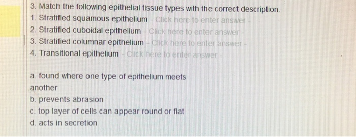Solved Match the following epithelial tissue types with its | Chegg.com