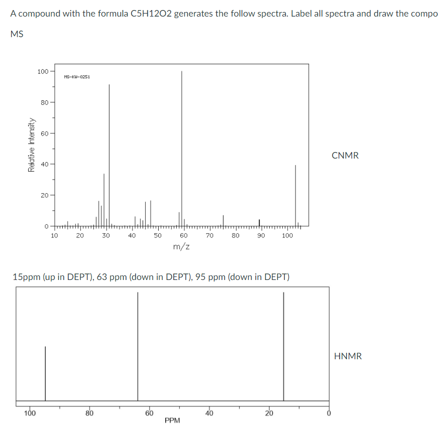 Solved A compound with the formula C5H1202 generates the | Chegg.com
