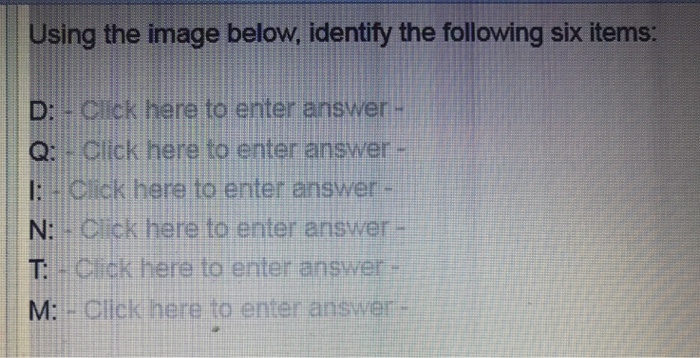 Solved Using the image below, identify the following six | Chegg.com
