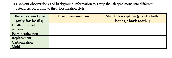 Specimen #1: Marine coprolite (reptile or fish) from | Chegg.com