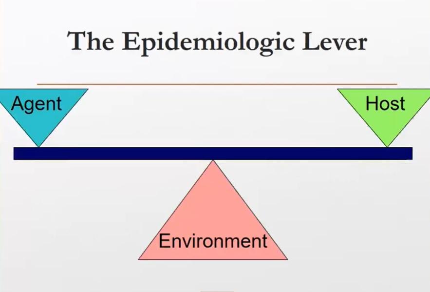 Solved The Epidemiologic Lever Agent Host Environment | Chegg.com