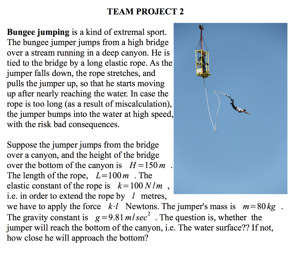 Solved TEAM PROJECT 2 Bungee jumping is a kind of extremal | Chegg.com