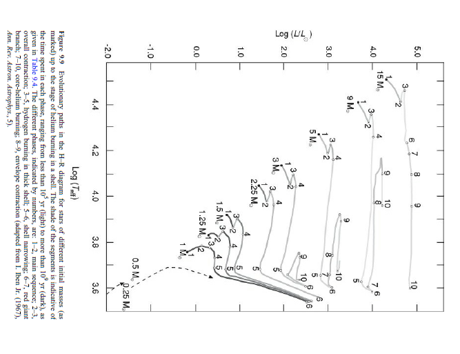 Solved Homology Analysis Of The Stellar Structure Equations