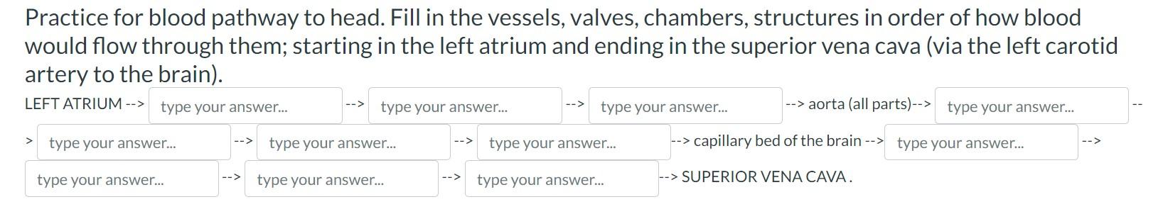 Solved Practice for blood pathway to head. Fill in the | Chegg.com