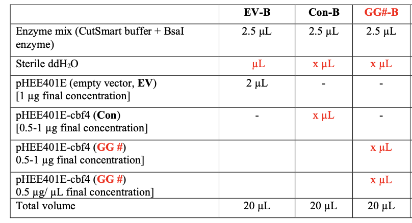 Context: A restriction digest set-up Complete the | Chegg.com