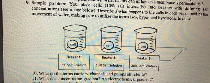 Solved 9. Sample problem: You place cells (10% salt | Chegg.com