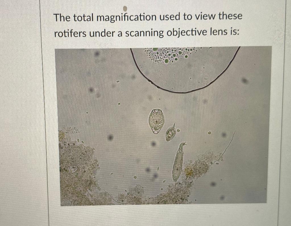 Solved The total magnification used to view these rotifers | Chegg.com