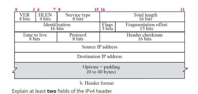 Solved Explain at least two fields of the IPv4 header | Chegg.com