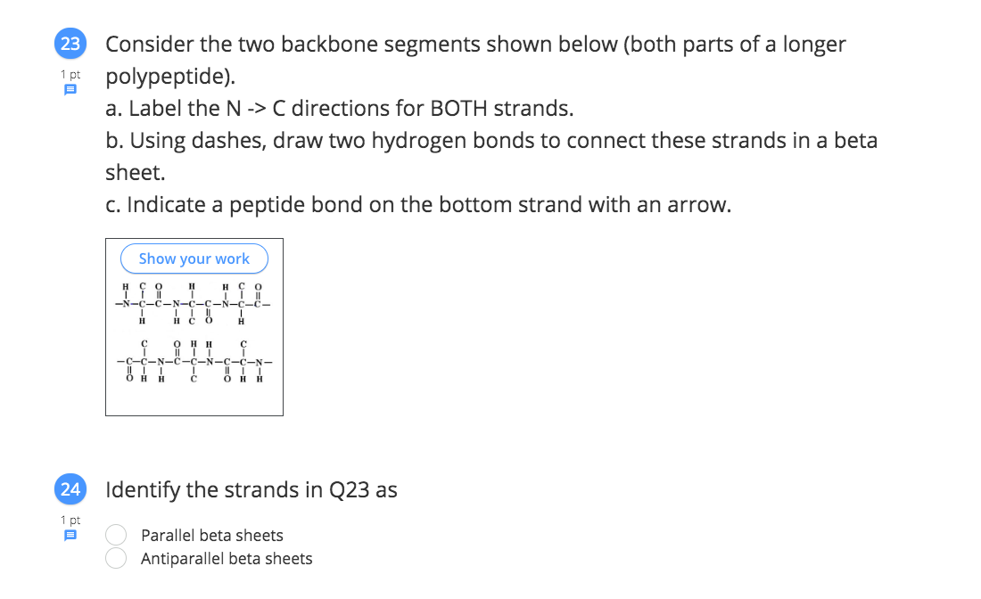 Solved 23 Consider the two backbone segments shown below | Chegg.com