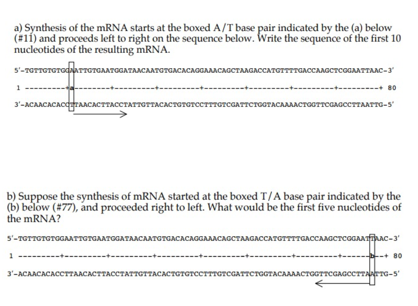 Solved a) Synthesis of the mRNA starts at the boxed A/T base | Chegg.com